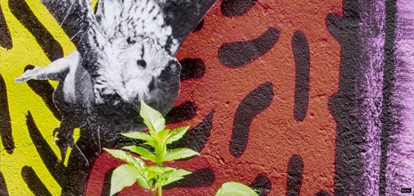 Rückblick 2022 - ibug